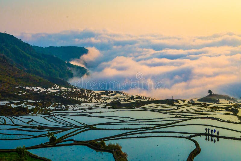Yuanyang Rice Terraces in China Stock Image - Image of terraces, line ...