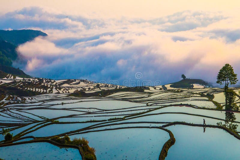 Yuanyang Rice Terraces in China Stock Photo - Image of park, sunrise ...