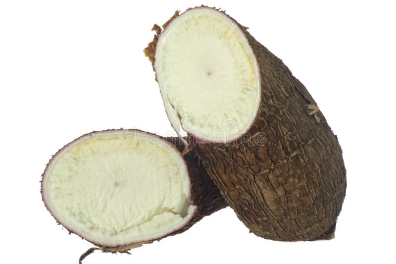 Yuca foto de archivo. Imagen de tuercas, tradicional - 25049084