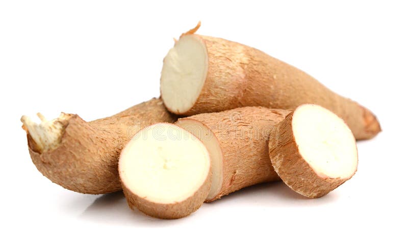 Yuca stock image. Image of brown, protein, roots, tuber - 99158565
