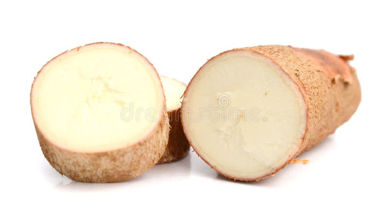 Yuca stock image. Image of intestine, popularity, long - 99158619