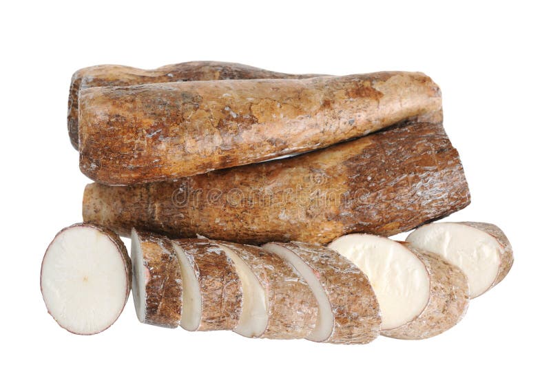 Yuca root. Food, tuberous. stock image. Image of protein - 113297541