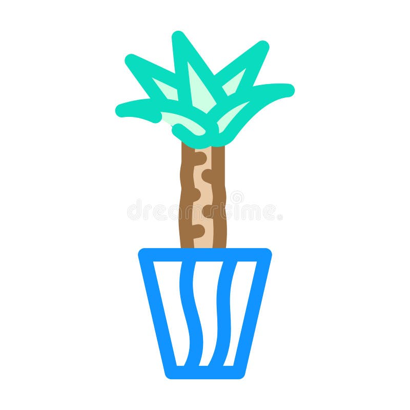 Yucca-elephantipes Color Icon Vector Illustration Stock Vector ...