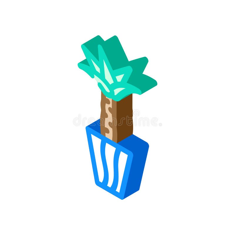 Yucca-elephantipes Isometric Icon Vector Illustration Stock Vector ...