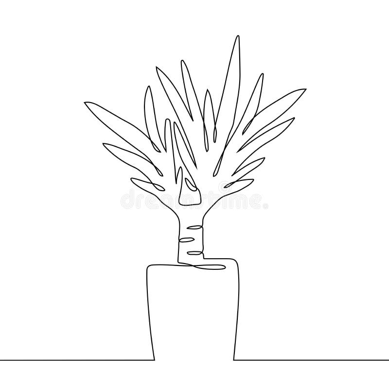 Yucca Isolated on White Background. Continuous One Line Drawing Stock ...