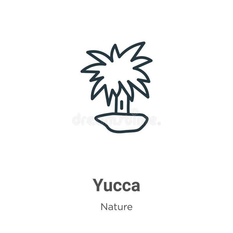 Yucca Outline Vector Icon. Thin Line Black Yucca Icon, Flat Vector ...
