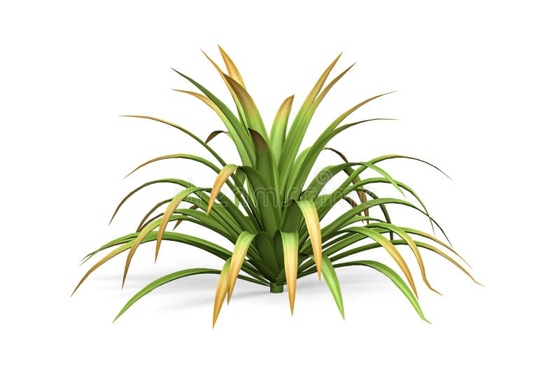 Set of Yucca Plant Cartoon Icon Design Template with Various Models ...