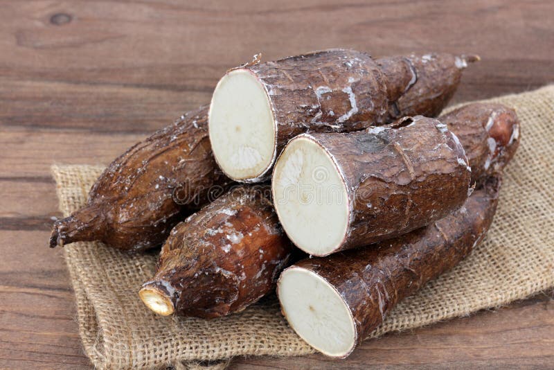 Cassava Root stock image. Image of food, stem, bunch - 17324753