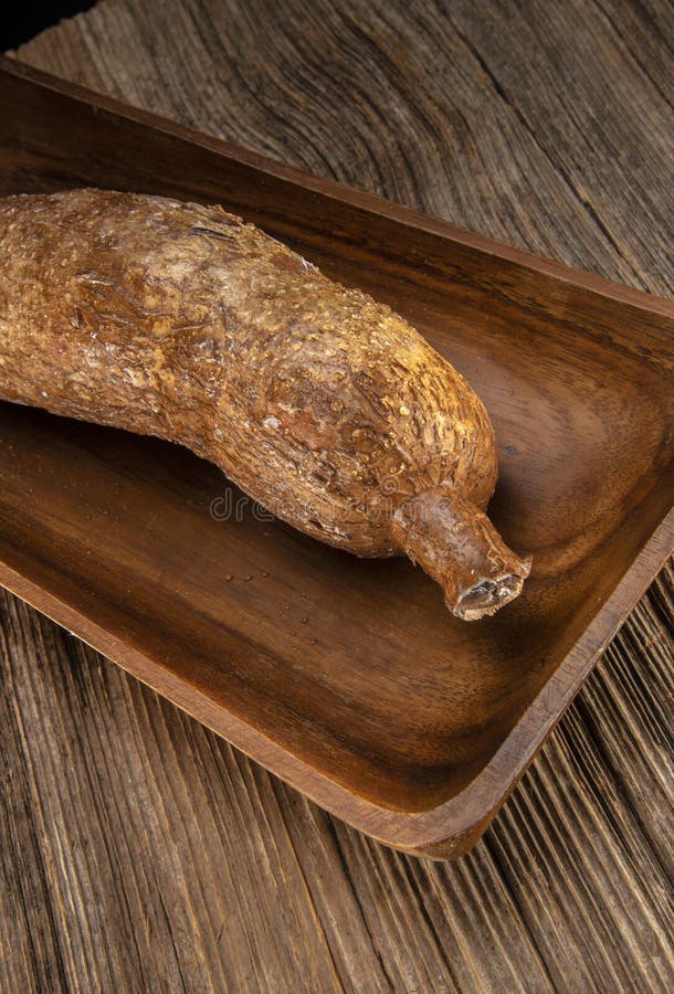 Whole yucca root,vegetable stock image. Image of botany - 190824999