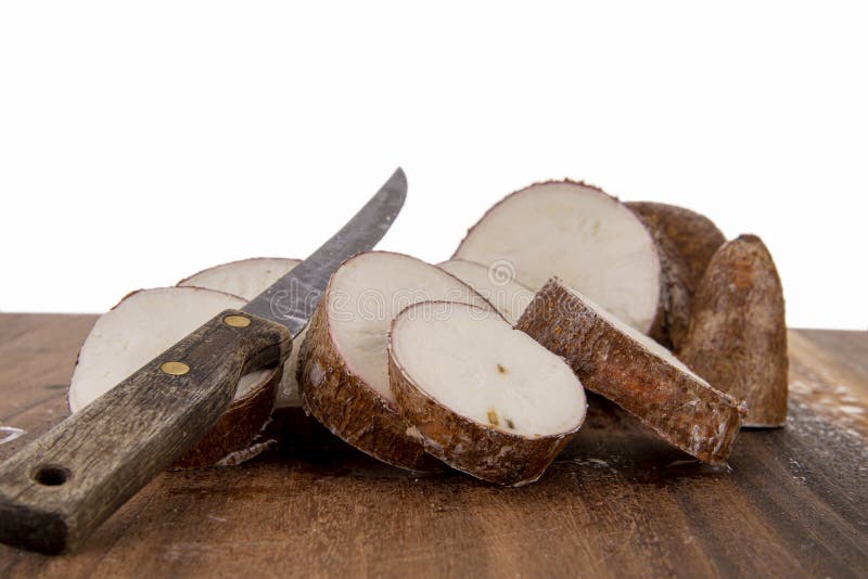 Yucca root,vegetable stock image. Image of garden, harvest - 190820089