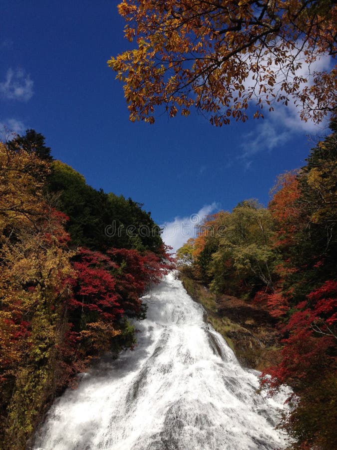 Yudaki waterfall stock photo. Image of nature, tree, nikko - 77550916