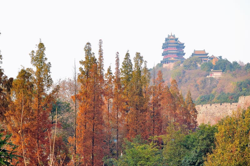 Yuejiang Tower stock photo. Image of trees, yuejiang - 48771498