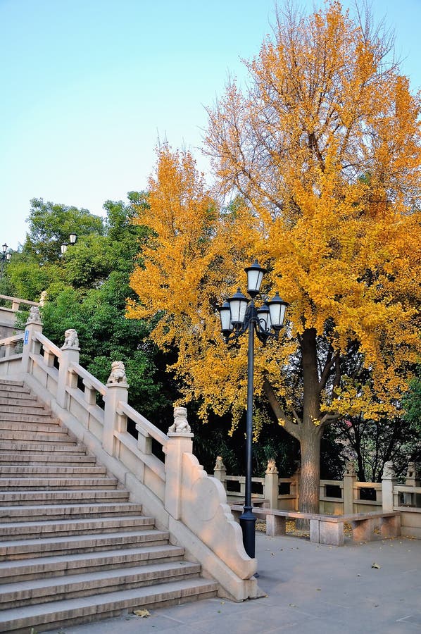 Yuejiang Tower park stock photo. Image of china, green - 48771828