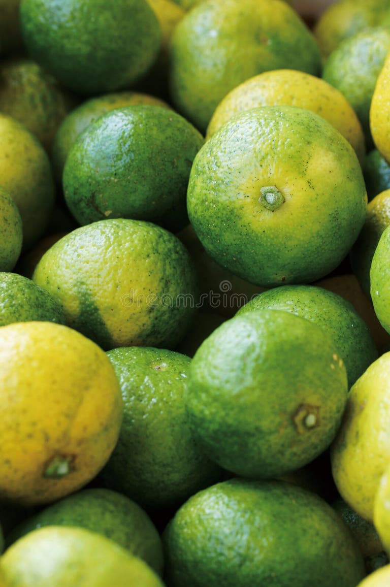 265 Yuko Suzuhana Stock Photos - Free & Royalty-Free Stock Photos from Dreamstime