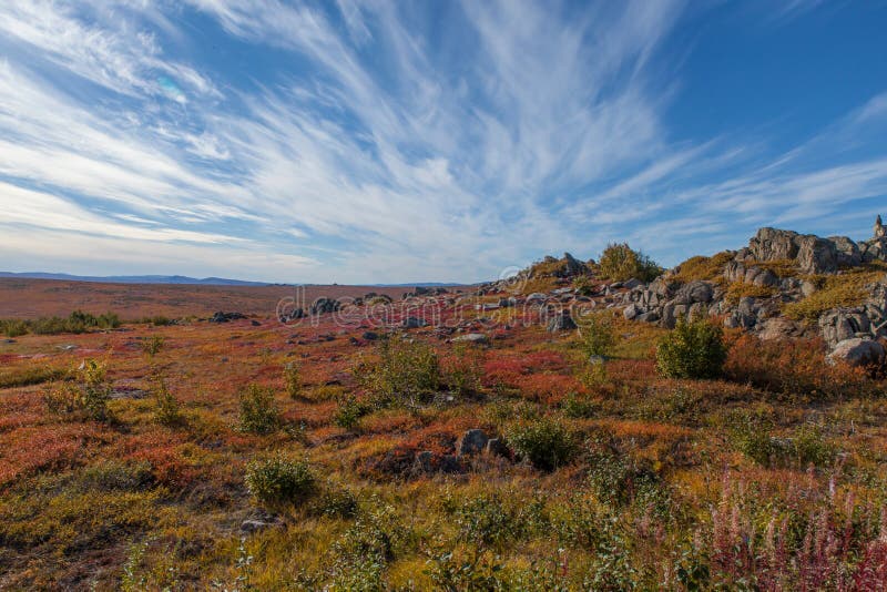 Arctic Tundra Fall