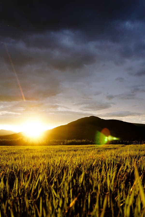 Ranch sunset stock image. Image of sunrise, ranching - 19831387