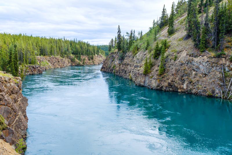 Yukon River Near Whitehorse, Canada Stock Image - Image of travel ...