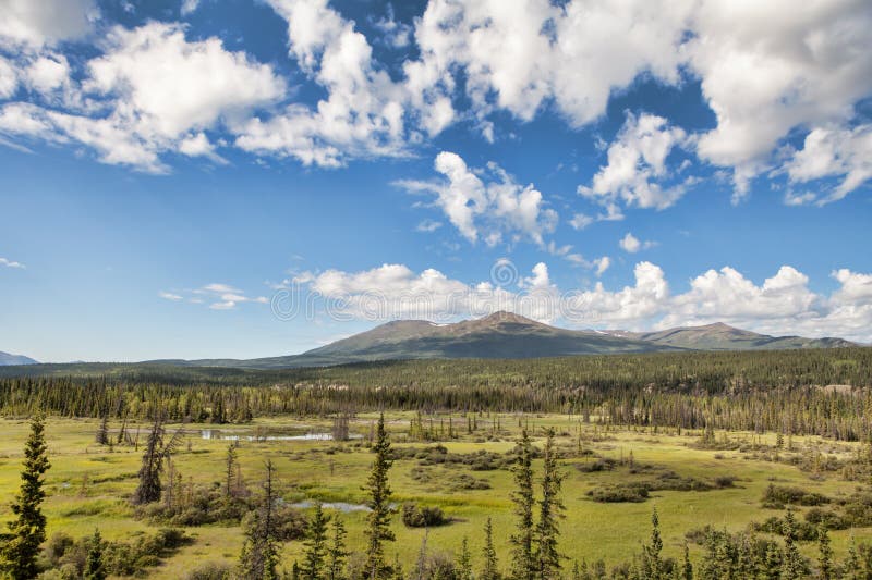 Yukon Territory Wilderness stock image. Image of nature - 34997305