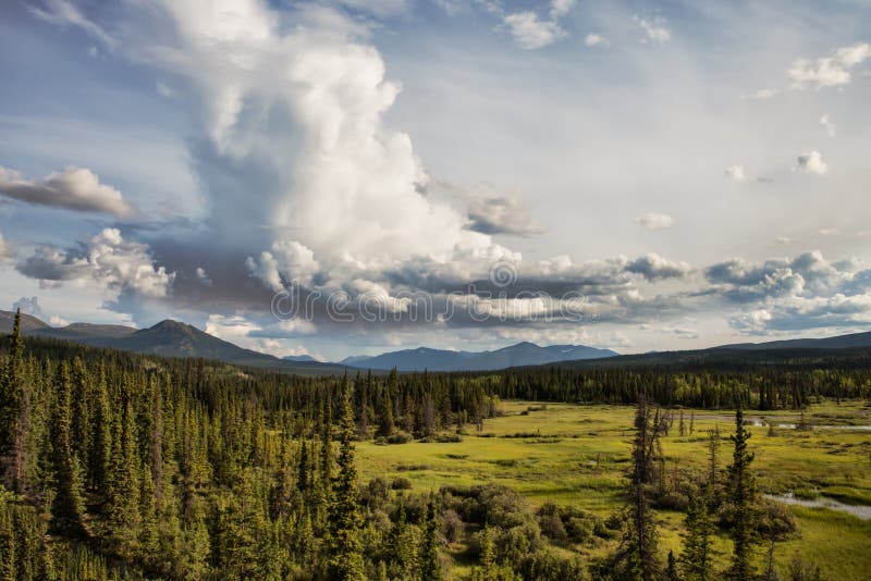 Yukon Wilderness by the Top of the World Highway Stock Photo - Image of ...