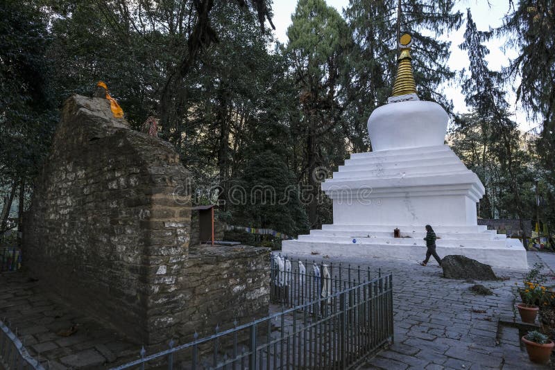 Norbugang Park Stock Photos - Free & Royalty-Free Stock Photos from ...