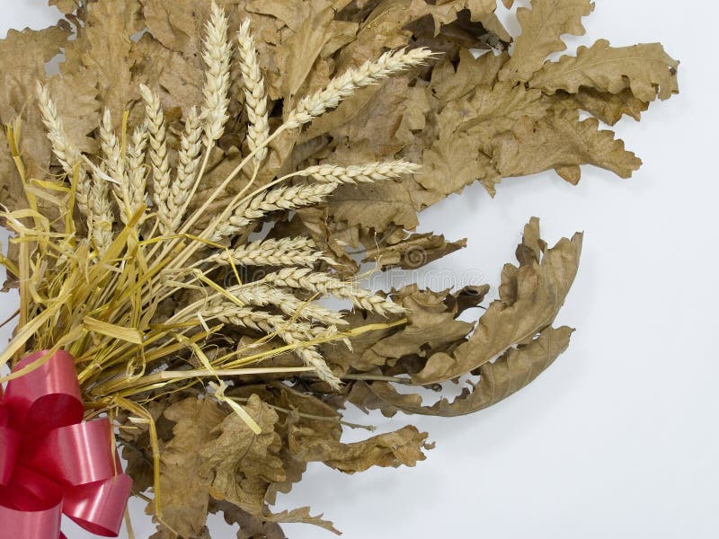 Yule-log - Bozic stock image. Image of bozic, design, badnjak - 1710661