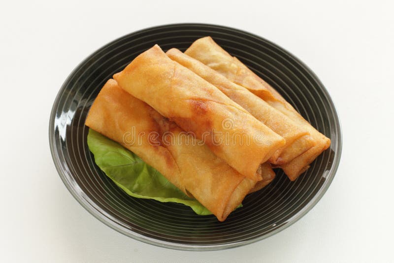 Homemade Chinese Dumpling, Spring Roll Stock Image - Image of fried ...