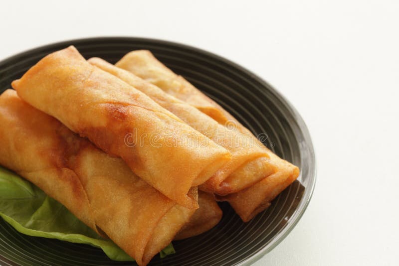 Homemade Chinese Dumpling, Spring Roll Stock Photo - Image of comfort ...