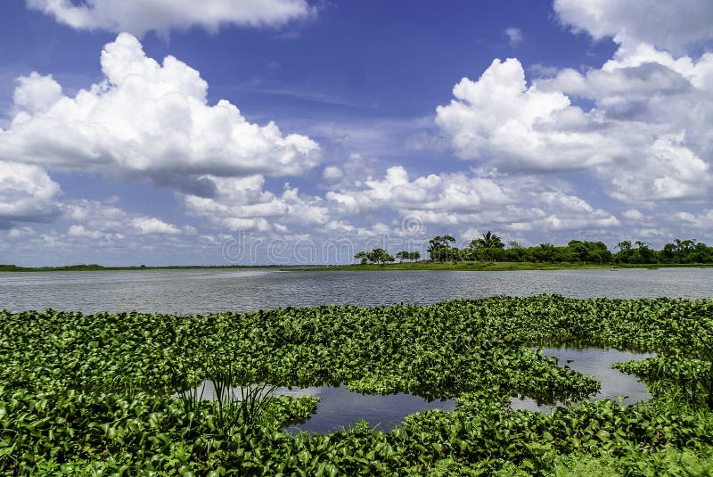 El Yumka Stock Photos - Free & Royalty-Free Stock Photos from Dreamstime