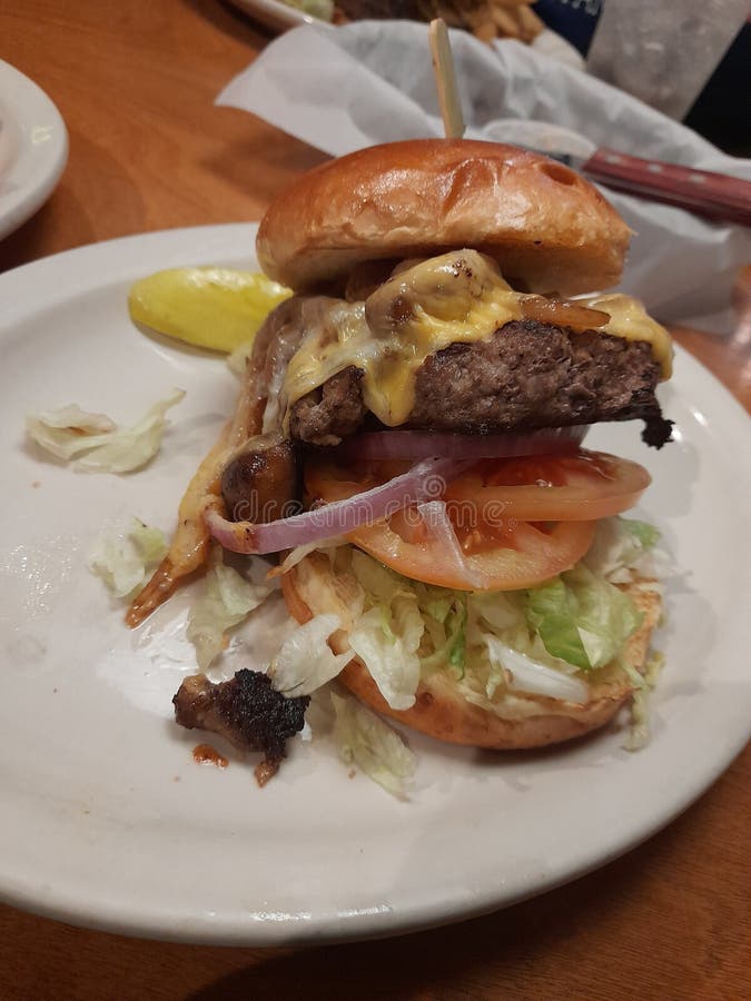 Yummy burger for dinner stock photo. Image of dish, salad - 248636534