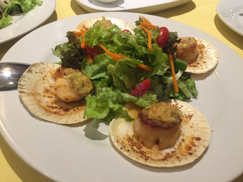 Yummy stock image. Image of food, look, yummy, shell - 83593969