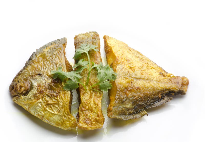 Yummy Prompet Fish Fry with Coriender Leaf Stock Image - Image of ...