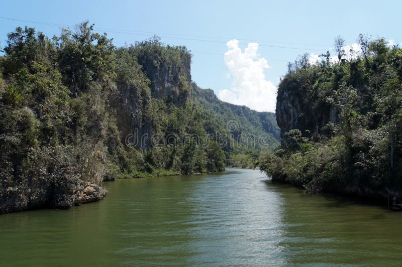 Yumuri river, Cuba stock image. Image of plant, trees - 92894079