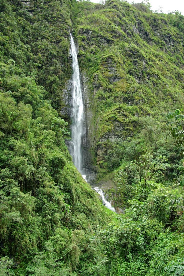 Yungas, Bolivia stock image. Image of mountains, yungas - 4719919
