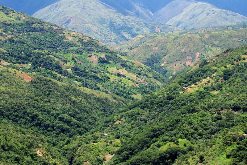 Yungas, Bolivia stock image. Image of mountains, yungas - 4719919