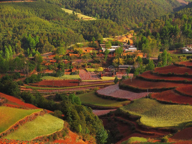 Yunnan red soil dry stock photo. Image of hill, barley - 19581036