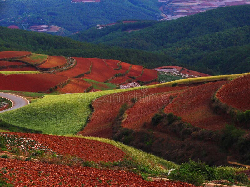 Yunnan red soil dry stock image. Image of highland, china - 19633809