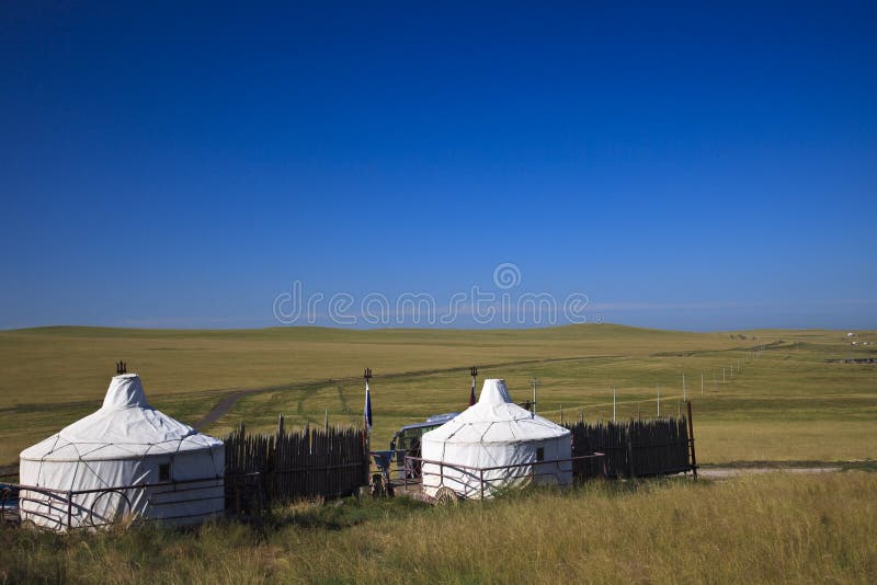 Yurts and Horses in Mongolia Stock Photo - Image of morning, animal ...