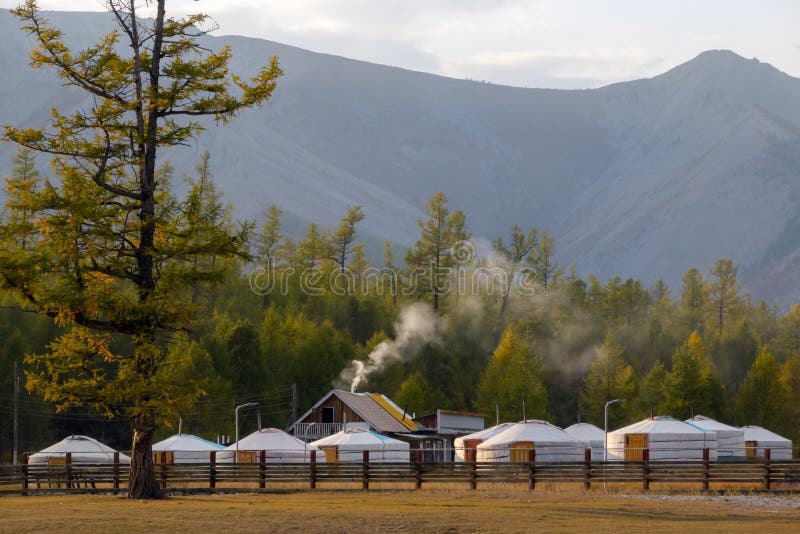 Yurt Camp Surrounded by Trees on the Ridge of the Mountain. Small Ger ...