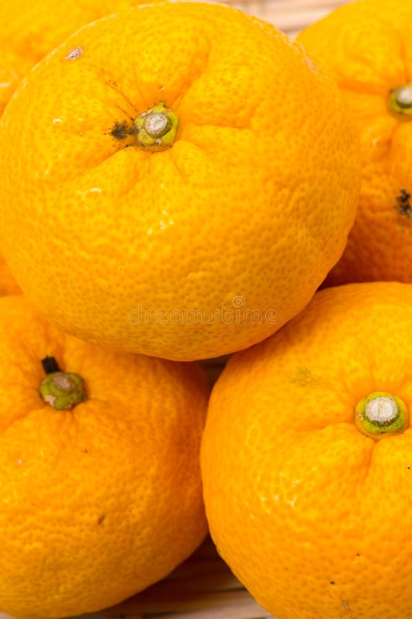 Yuzu stock photo. Image of health, fruitage, cedrat, meal - 29514586