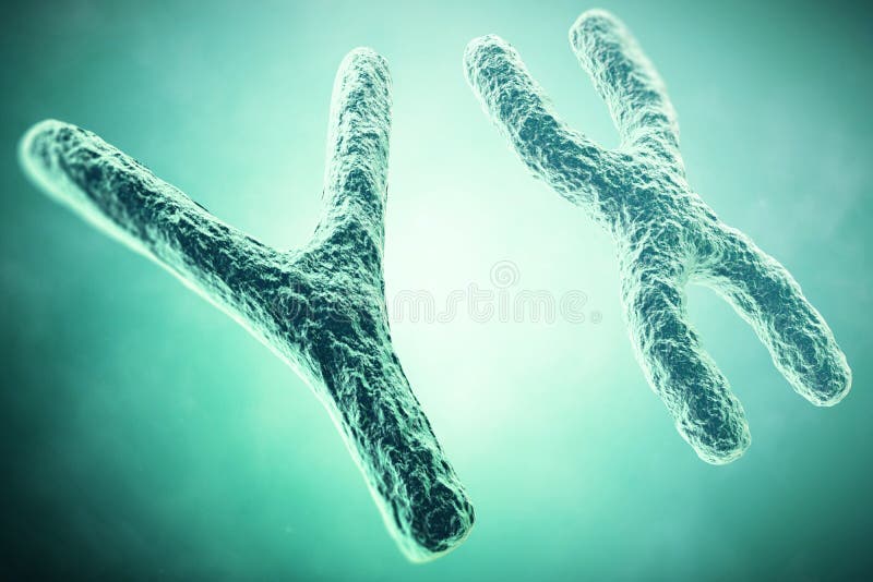 YX Chromosome in the Foreground, a Scientific Concept. 3d Illustration ...