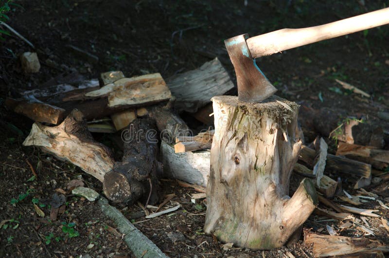 Hugga av vedträ för yxa arkivfoto. Bild av trä, yxan, skog - 878760