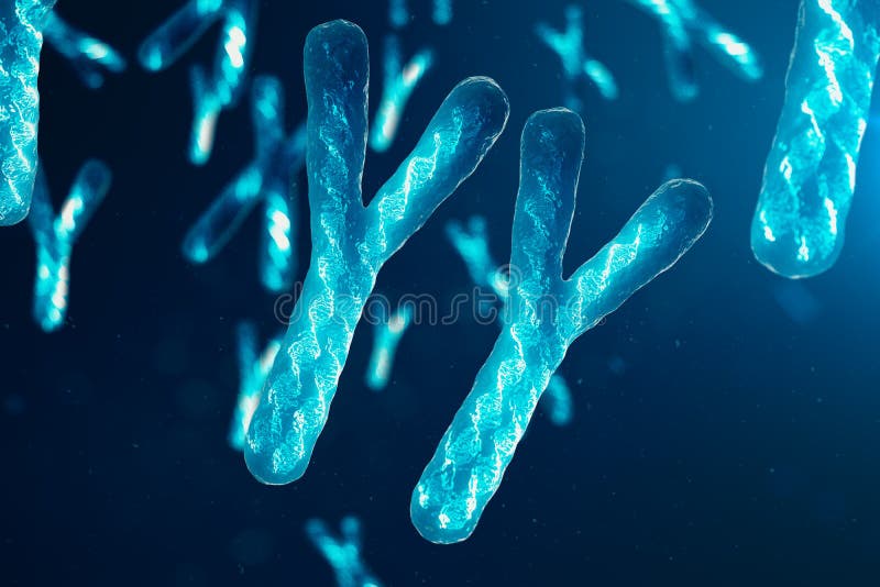 YY-Chromosomes with DNA Carrying the Genetic Code. Genetics Concept ...