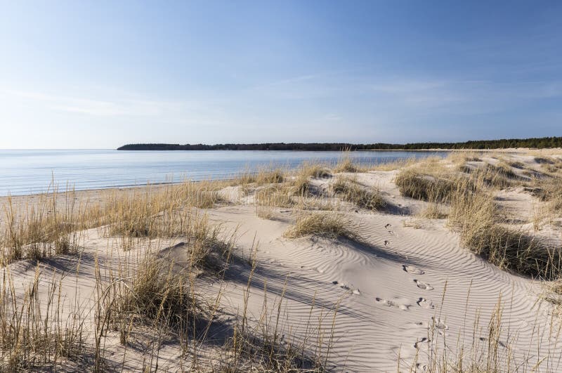 Yyteri beach in spring stock photo. Image of waterside - 60870380