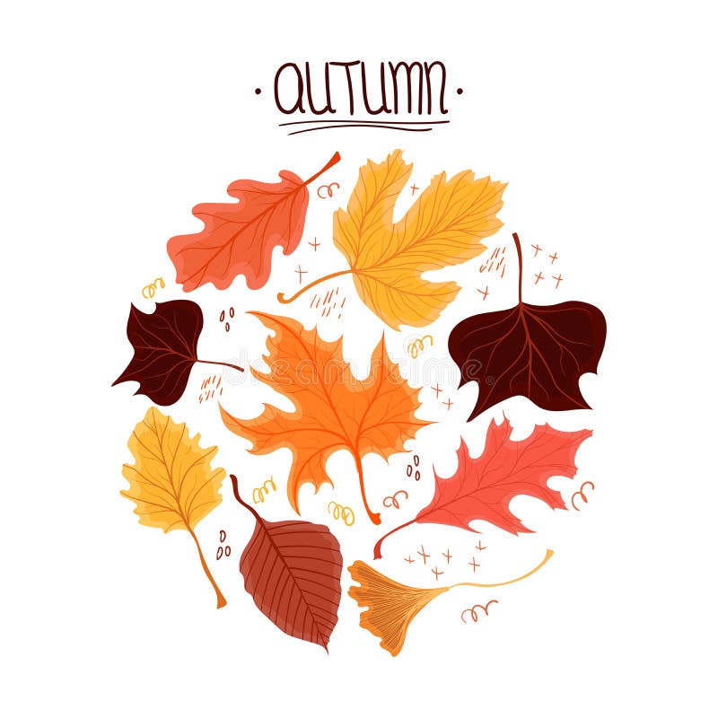 Beautiful Colourful Autumn Leaves, Fall Foliage Background. Stock ...