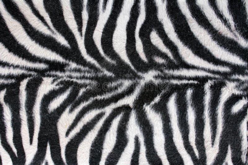 Texture de zèbre image stock. Image du fourrure, couverture - 14551635