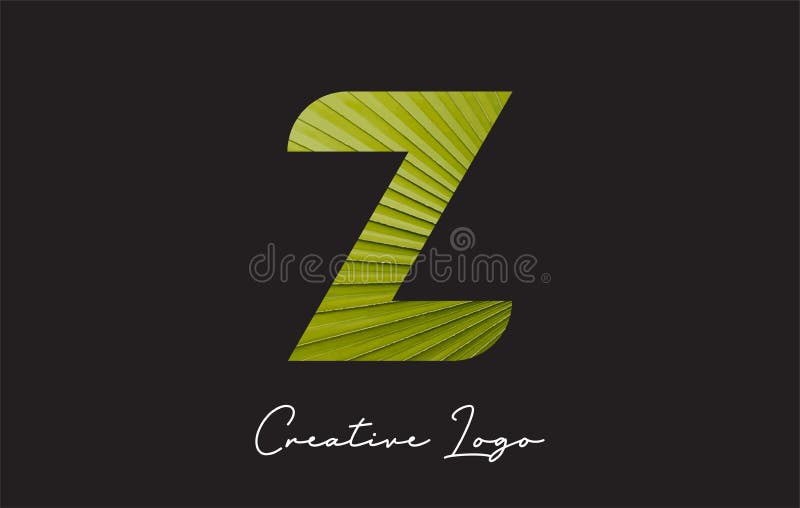 Z Letter Logo with Palm Tree Leaf Pattern Design Stock Vector ...