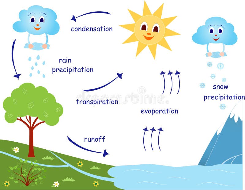 Cartoons Water Cycle Vector Illustration Stock Vector - Illustration of ...
