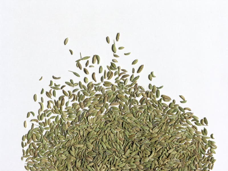 Venkelzaad 2 stock foto. Image of gemorst, hoop, koken - 671926