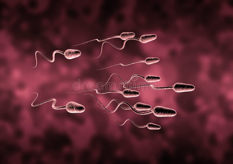 Zaadcel stock illustratie. Illustration of gezondheid - 31292479