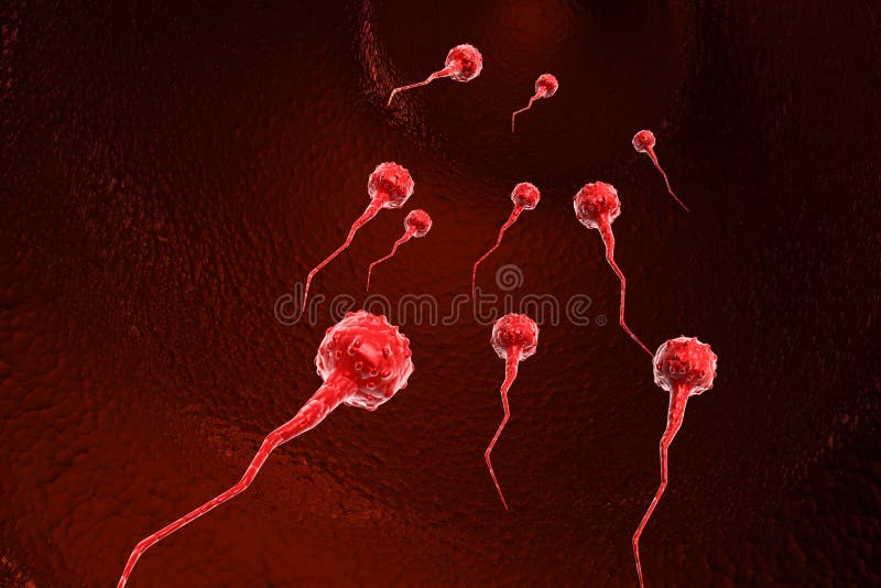 Zaadcellen stock illustratie. Illustration of life, ovum - 16698127